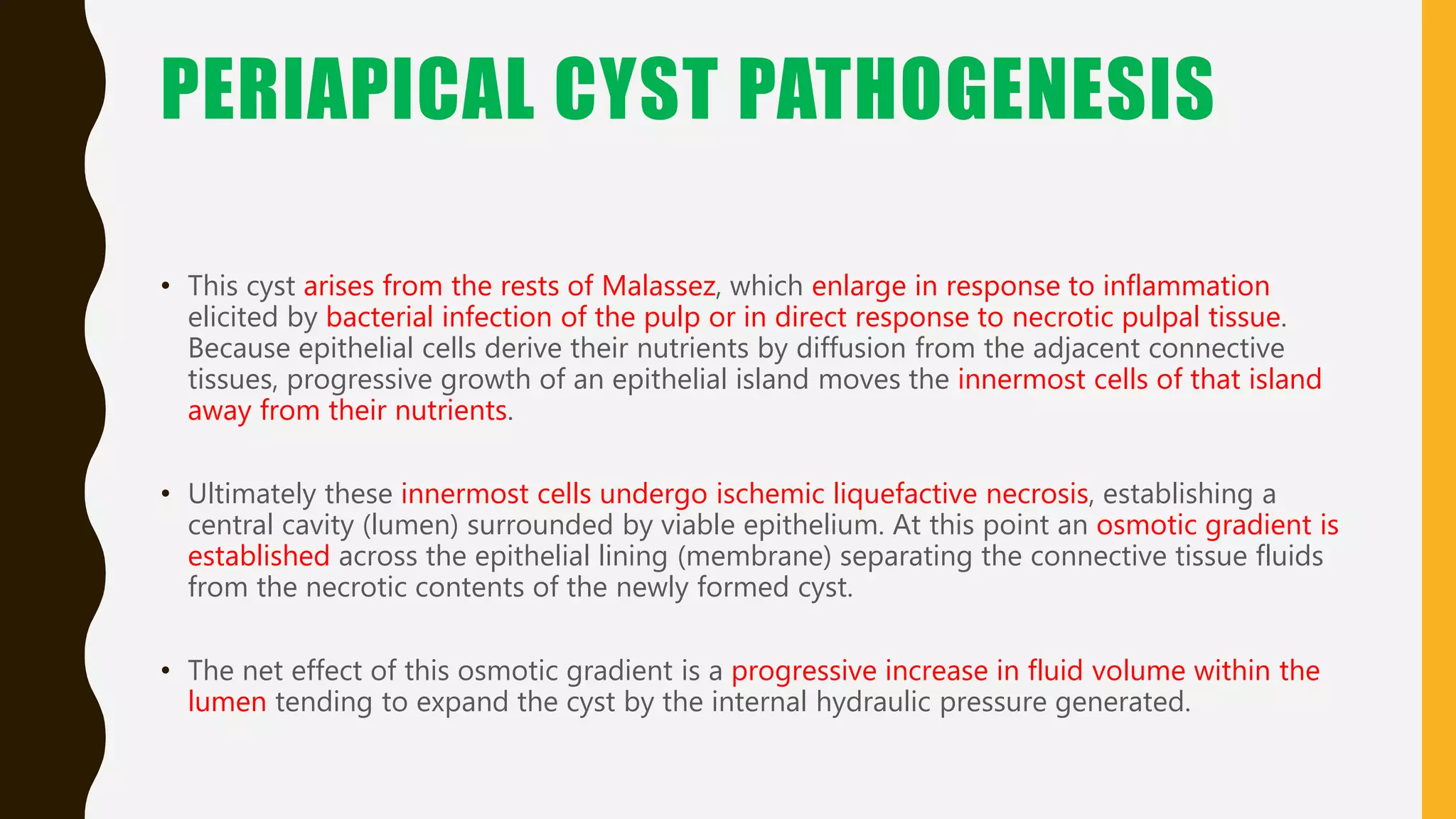 Cysts Of The Oral Region - Oral Pathology | PPTX