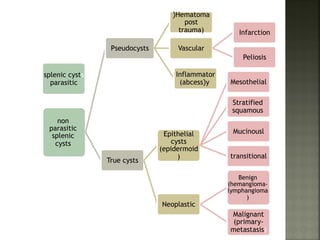 Cysts of the spleen | PDF