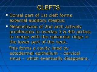Cysts & sinuses of the neck | PPT