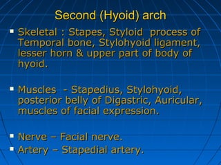 Cysts & sinuses of the neck | PPT