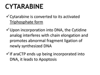 Cytarabine | PPTX