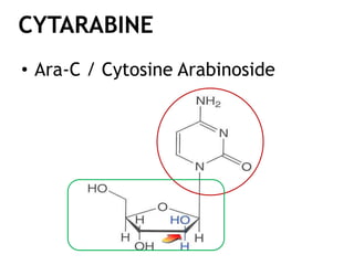 Cytarabine | PPTX