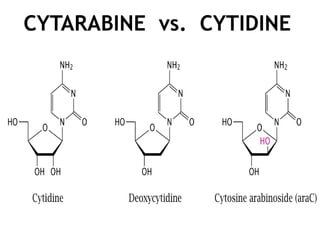 Cytidine Vs Cytosine