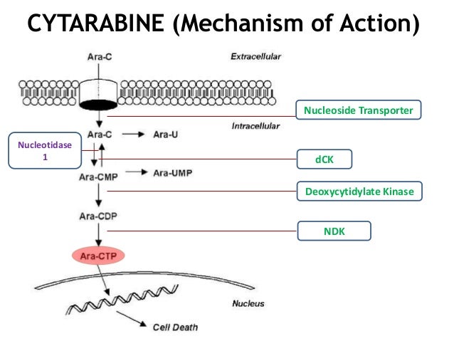 Cytarabine