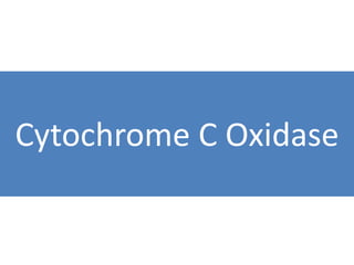 cyt c oxidase.ppt