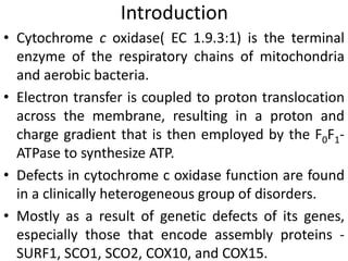 cyt c oxidase.ppt