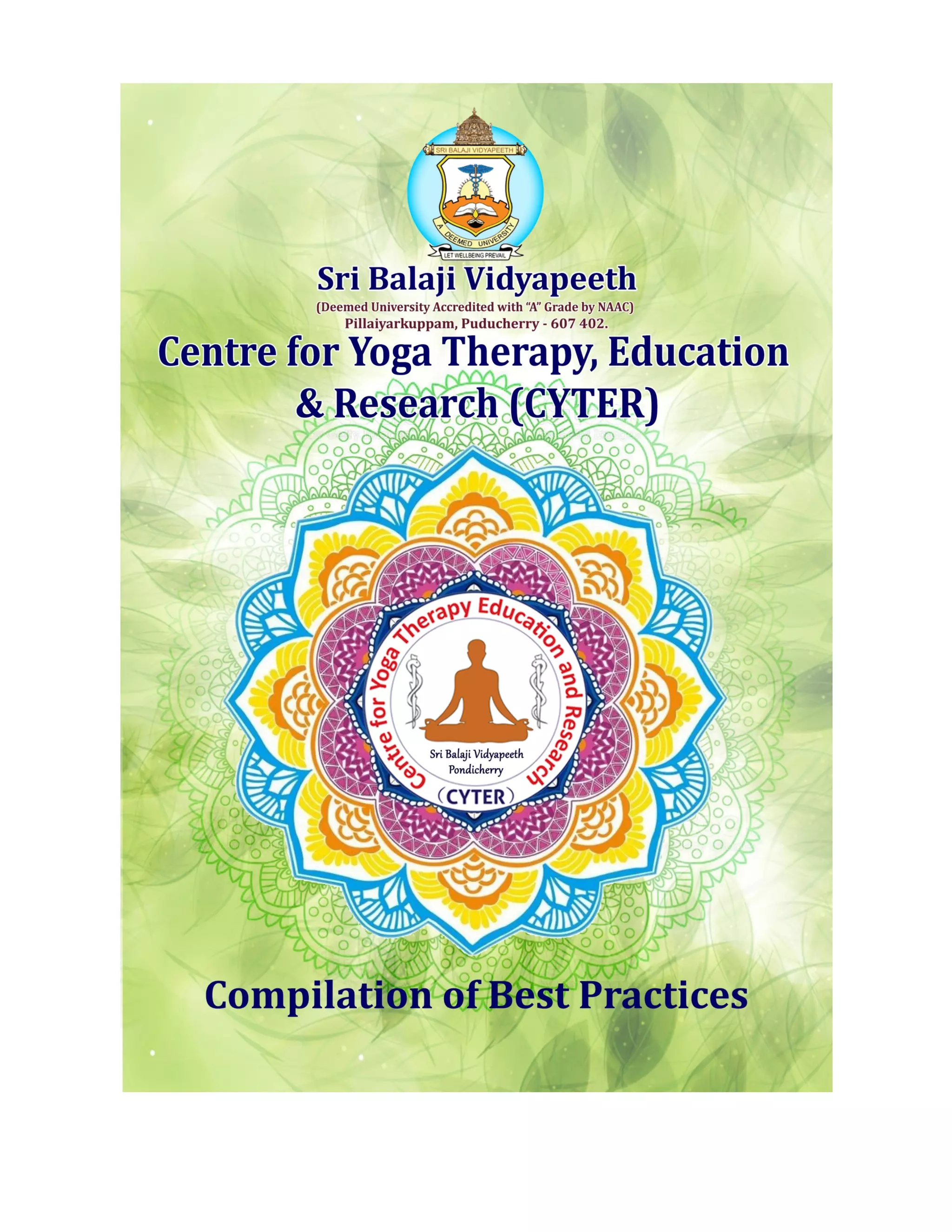 Compilation of CYTER Best Practices 2018 | PDF