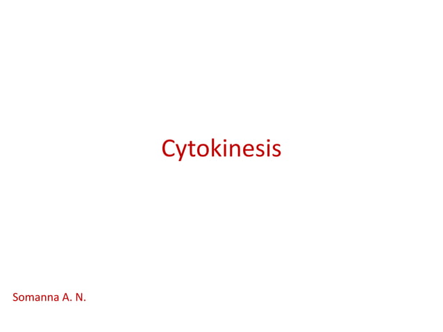 Cytokinesis | PPTX | Biological Sciences | Science