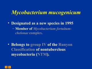 Cytopathology Conference 12/01/05 - Case 1 | PPT