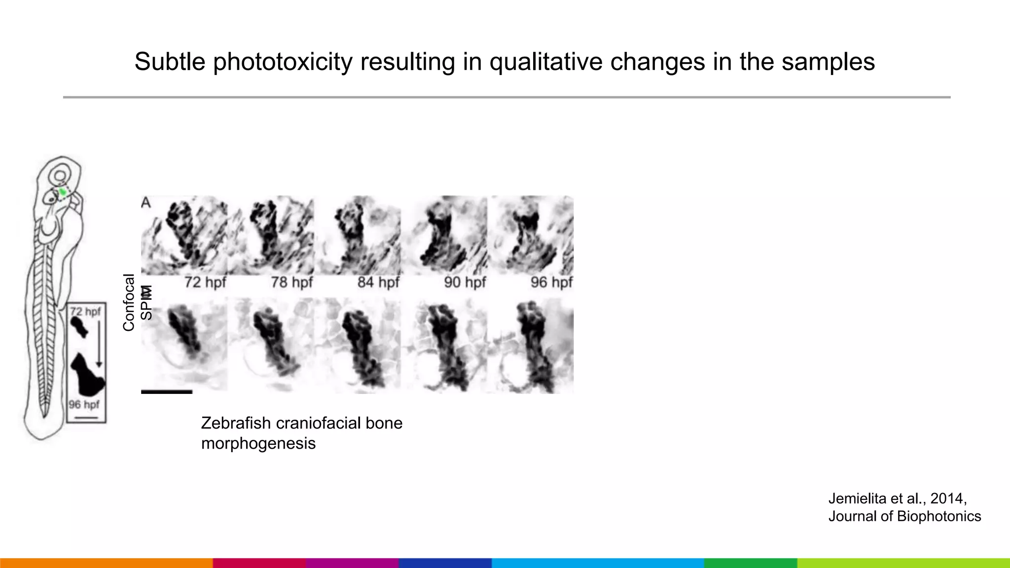 Phototoxicity in live cell imaging workshop CYTO2018 | PPTX