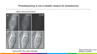 Phototoxicity in live cell imaging workshop CYTO2018 | PPTX
