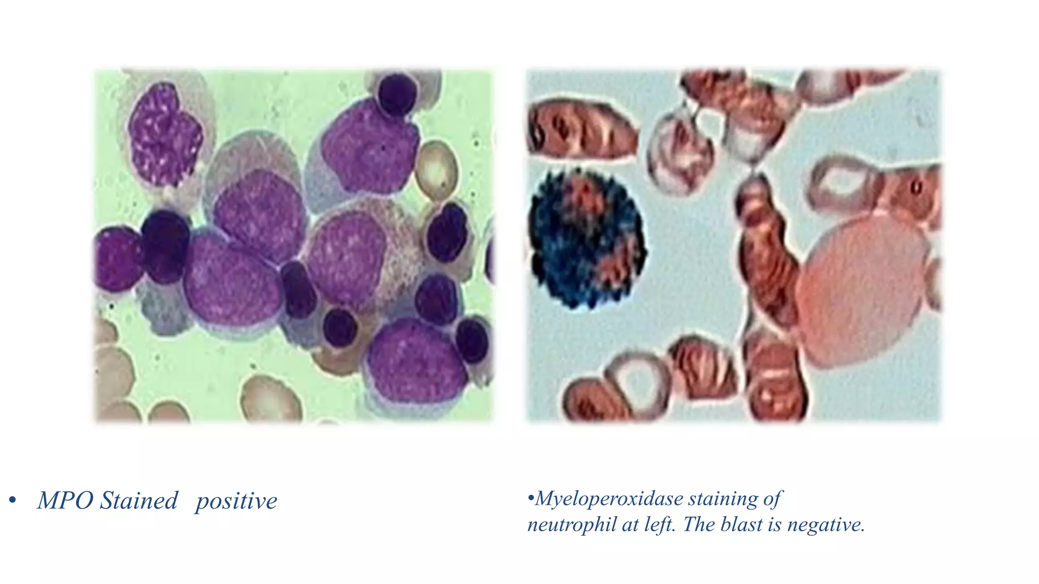 Cytochemical staining checked | PPTX