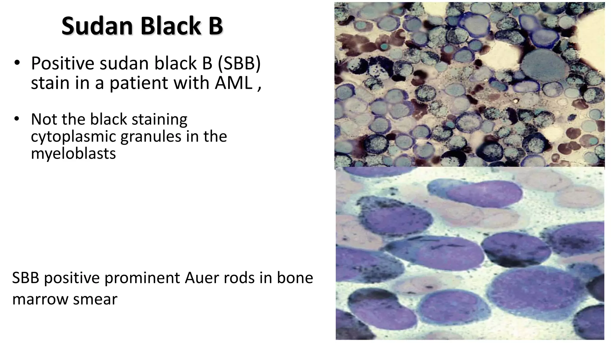 Cytochemical staining checked | PPTX