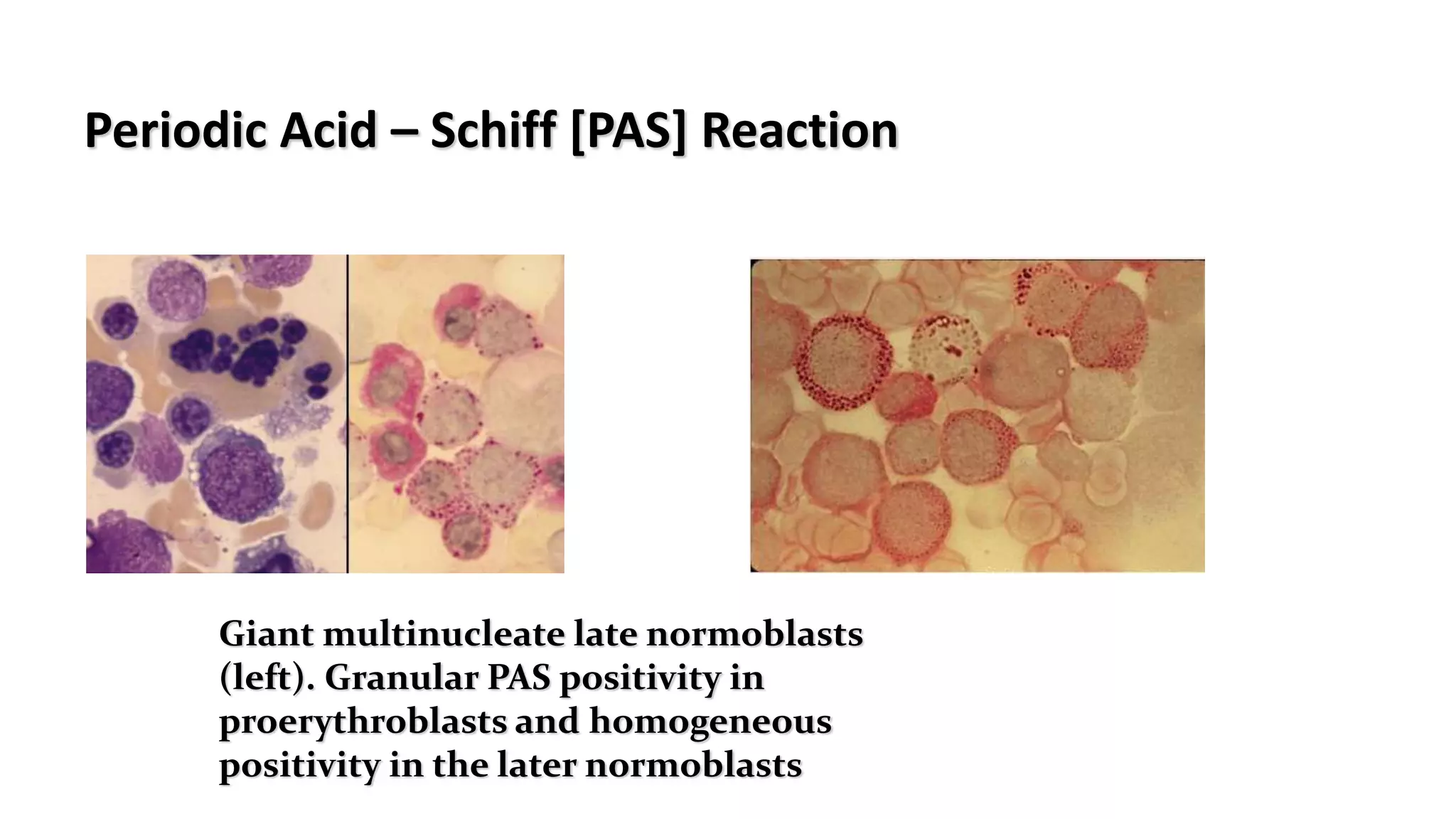 Cytochemical staining checked | PPTX
