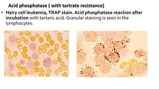 Cytochemical staining checked | PPTX