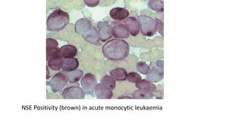 Cytochemical staining checked | PPTX