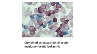 Cytochemical staining checked | PPTX