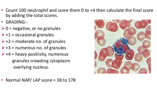 Cytochemical staining checked