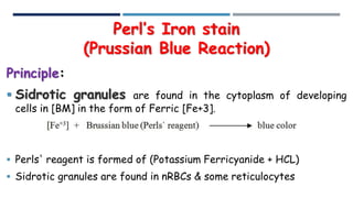Cytochemistry ii | PDF