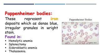 Cytochemistry ii | PDF