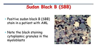 Cytochemistry ii | PDF