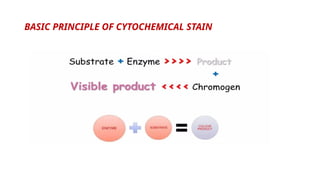 cytochem stain of leukemia.pptx detailed | PPTX