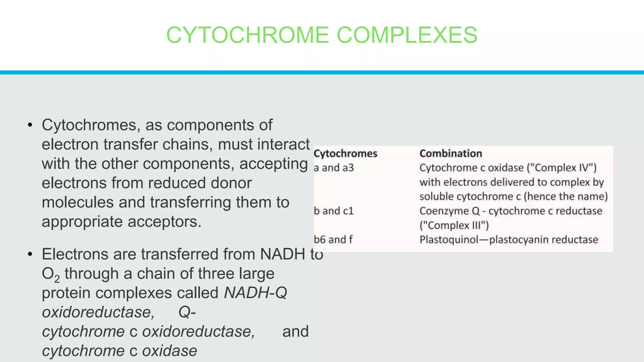 Cytochrome Pptx Chemistry Science