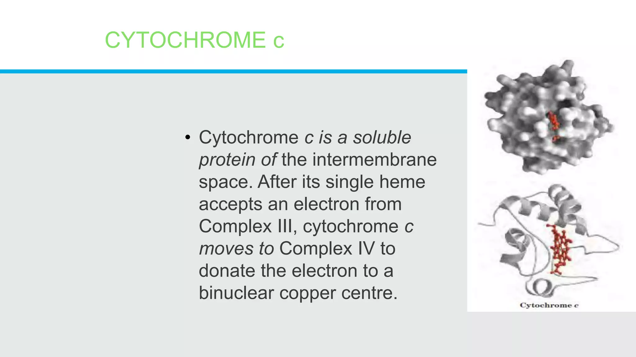 Cytochrome | PPTX