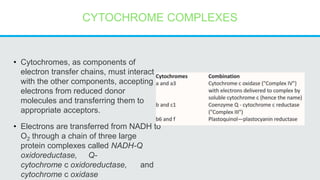 Cytochrome | PPTX