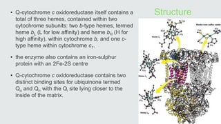 Cytochrome | PPTX