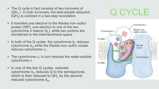 Cytochrome | PPTX