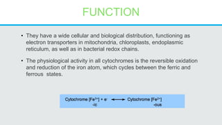 Cytochrome | PPTX