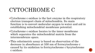 Cytochrome c Oxidase Assay | PPTX