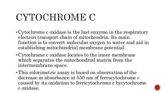 Cytochrome C Oxidase Assay