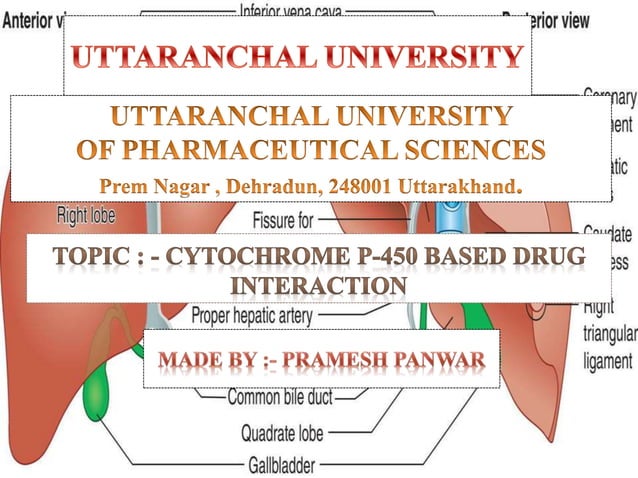 CYTOCHROME P-450 BASED DRUG INTERACTION.pptx | Endocrine and Metabolic Diseases | Diseases and ...