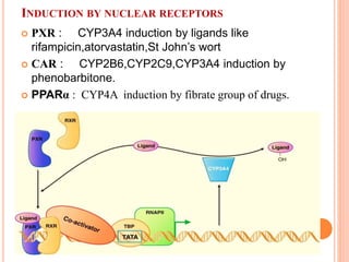 Cytochrome p 450 Dr Divya Krishnan | PPTX
