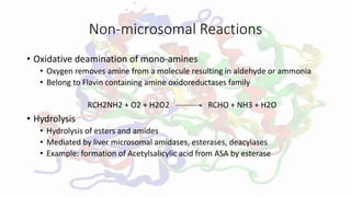 Cytochrome P450 | PPTX