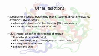 Cytochrome P450 | PPTX | Chemistry | Science