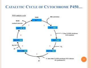 Cytochrome p450 by Faizan Deshmukh | PPT