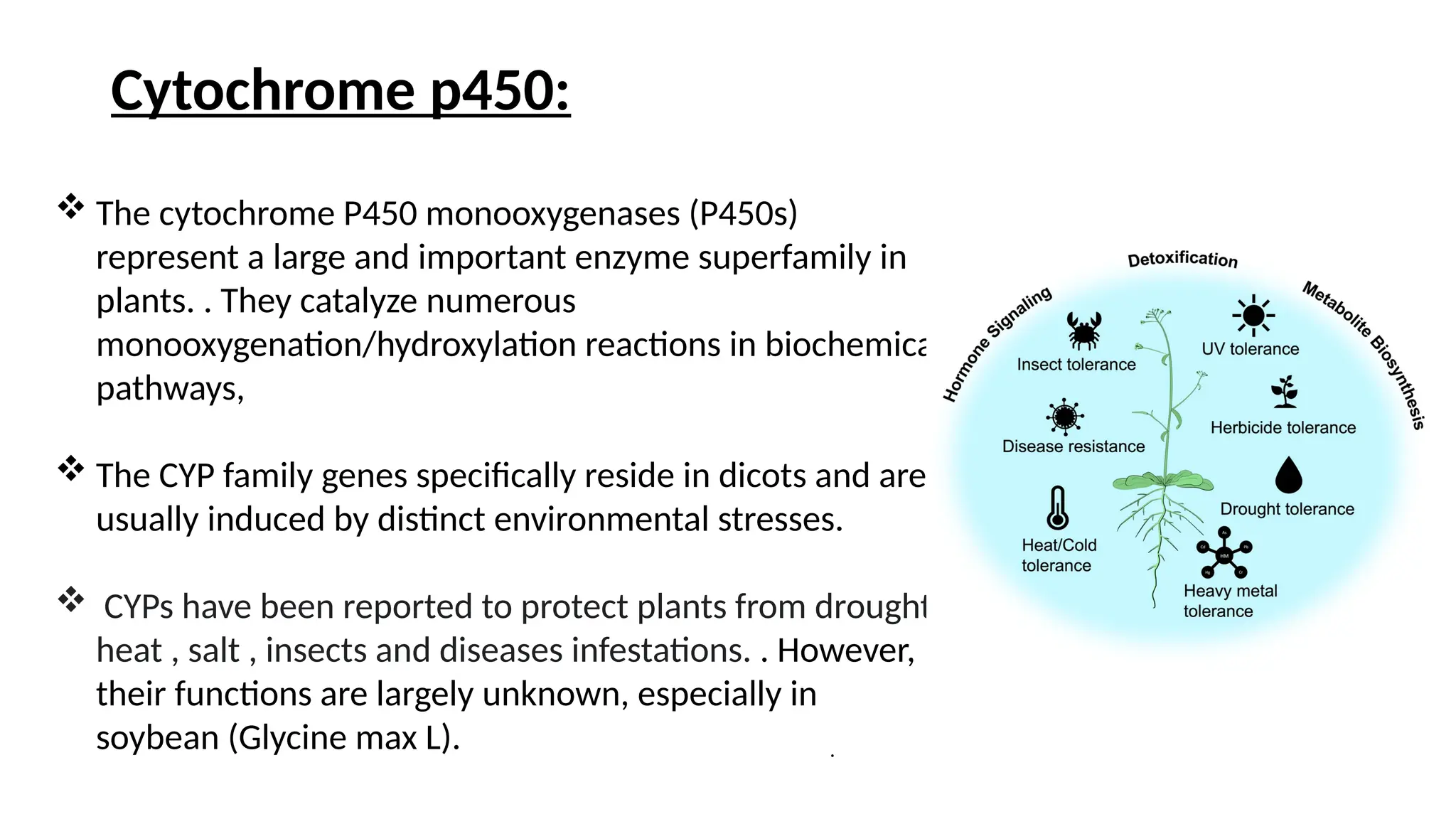 Role of Cytochrome p450 in soybean pptx | PPT