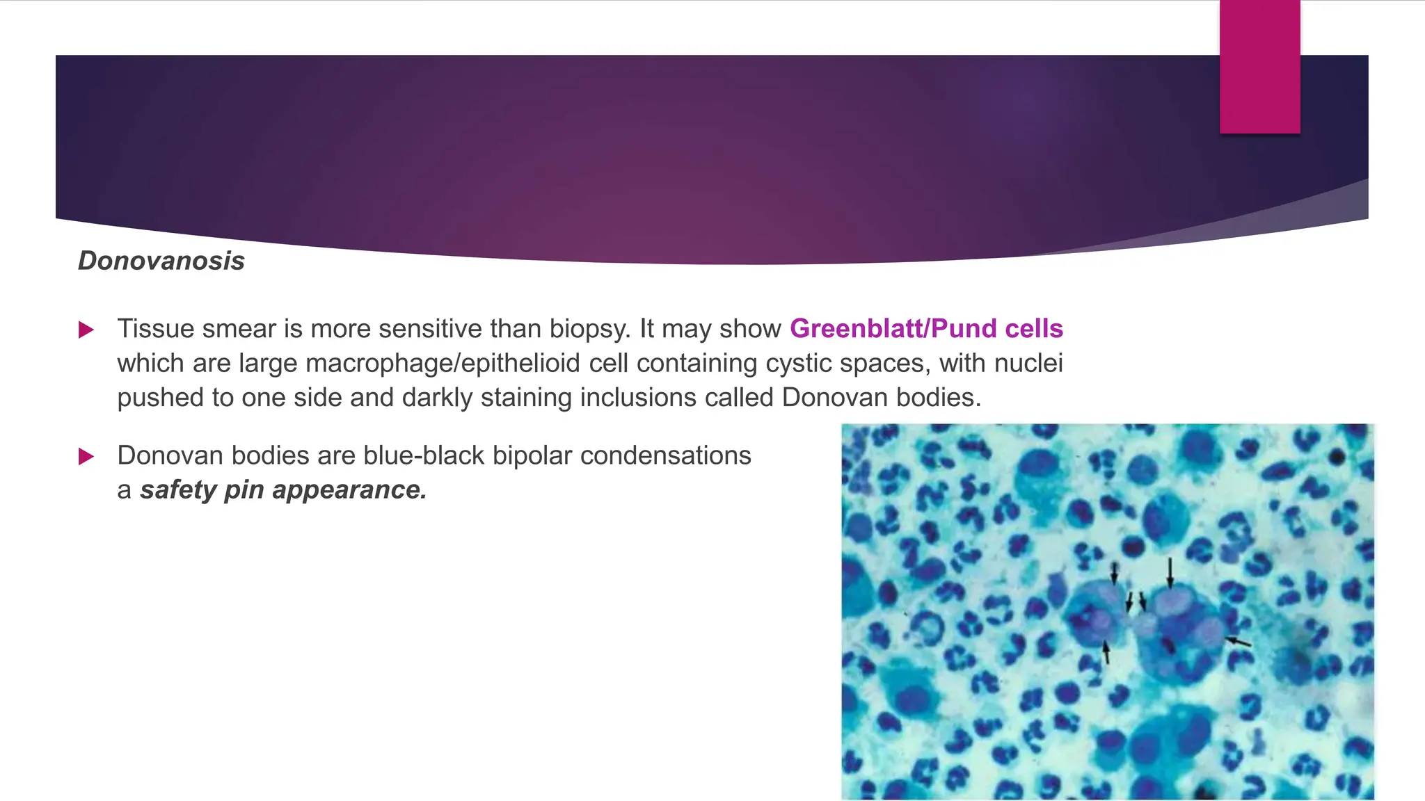 CYTODIAGNOSTIC METHODS IN DERMATOLOGY.pptx