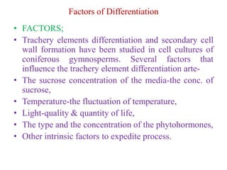 Cytodifferentiation | PDF