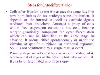 Cytodifferentiation | PDF