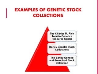 maintenance of genetic stocks | PPTX