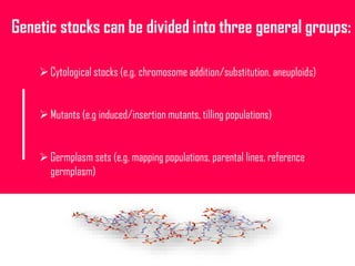 maintenance of genetic stocks | PPTX
