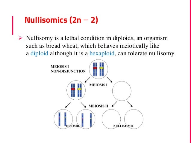 maintenance of genetic stocks