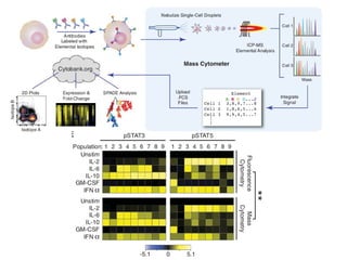 CyTOF | PPT