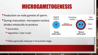 Embryology of pollen and ovule development | PPTX