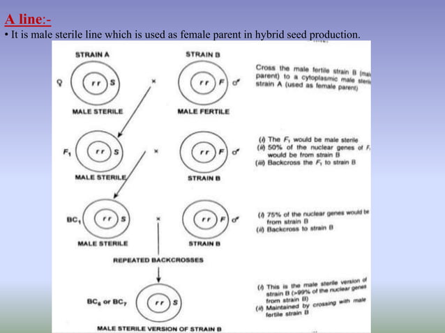 Cytoplasmic inheritance and Chloroplast engineering | PPTX | Genetics ...