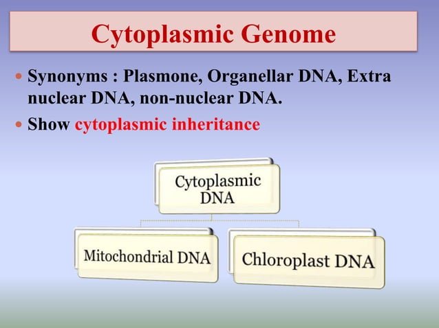 Cytoplasmic inheritance and Chloroplast engineering | PPTX | Genetics | Science